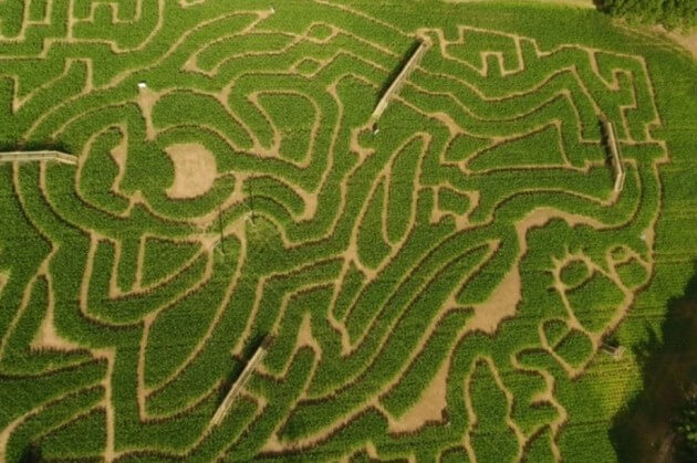 PHOTO: Father creates Dory maze for "Finding Nemo"-loving daughter