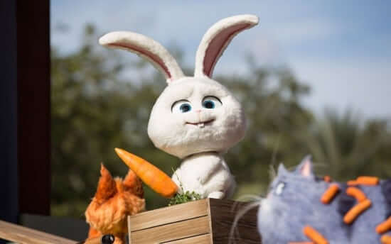 PHOTOS: "The Secret Life of Pets" joins the Superstar Parade at ...