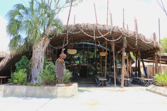 INSIDE LOOK: Restaurants of 'Pandora - The World of Avatar' serve up ...