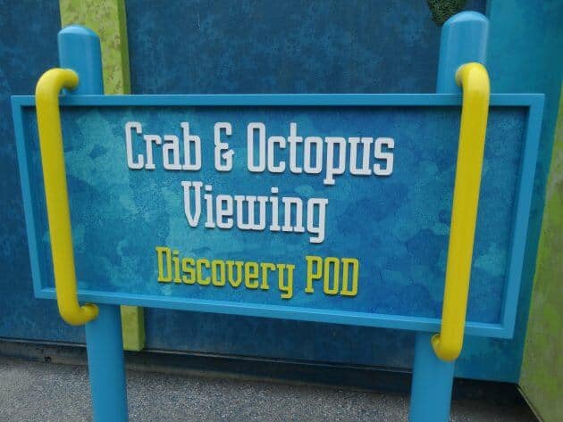VIDEO: Submarine Quest ride, Orca Encounter show debut at SeaWorld San ...