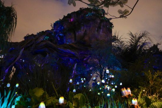 Nighttime in 'Pandora - The World of Avatar' glows brilliantly with ...