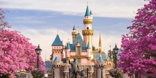 Comparing the Castles Part One - Disney park particulars