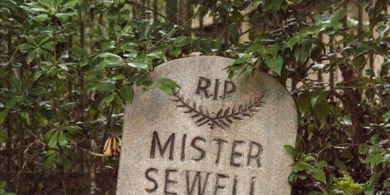 A Cryptic Tour of The Haunted Mansion Tombstone Tributes at Walt Disney ...
