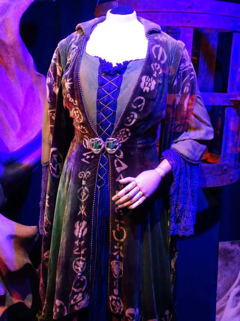 VIDEO - Disney's "Hocus Pocus" arrives for Halloween with director ...