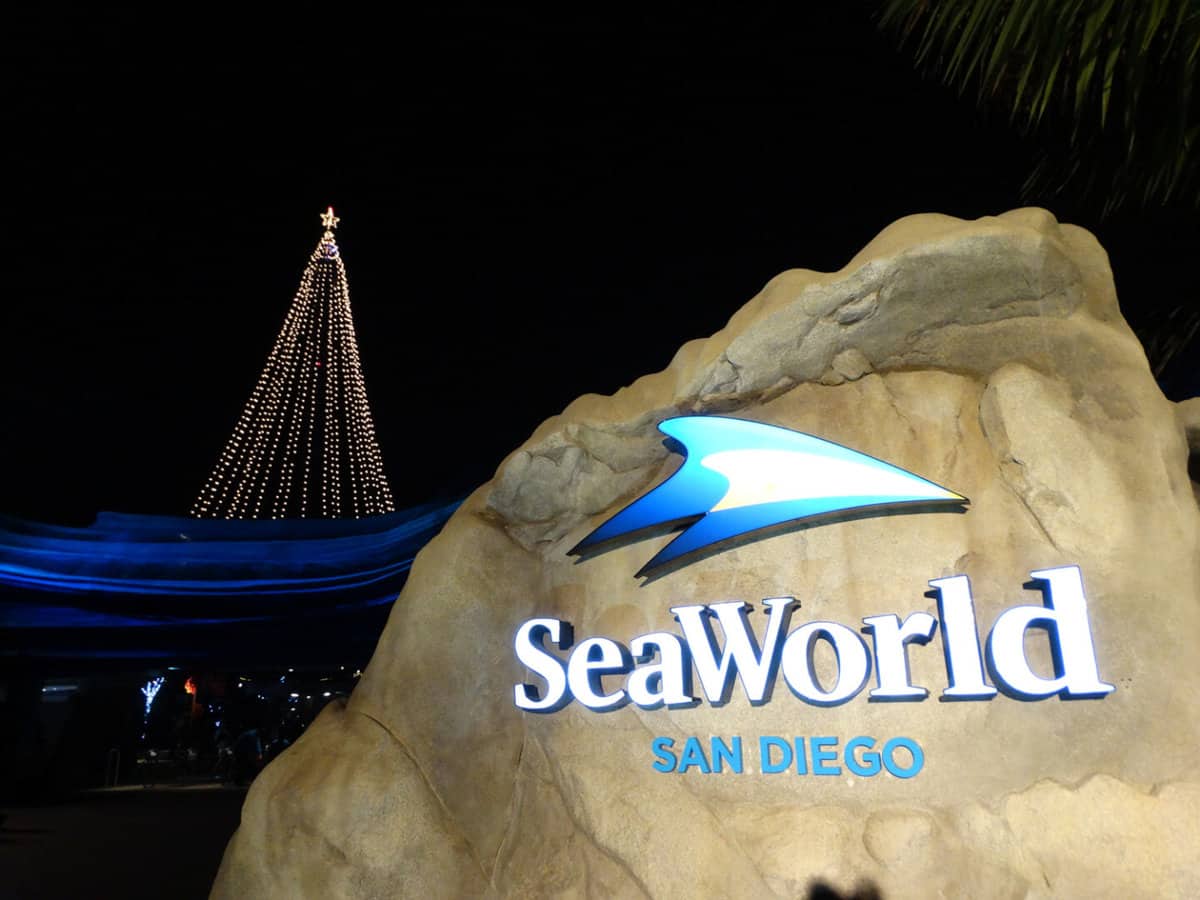 VIDEO - Christmas season returns to SeaWorld San Diego with Rudolph ...