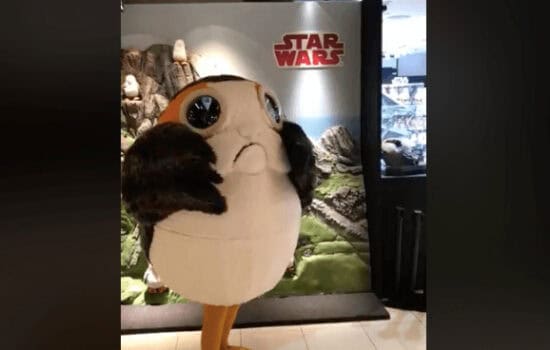 VIDEO: Porg makes character appearance for "Star Wars: The Last Jedi ...