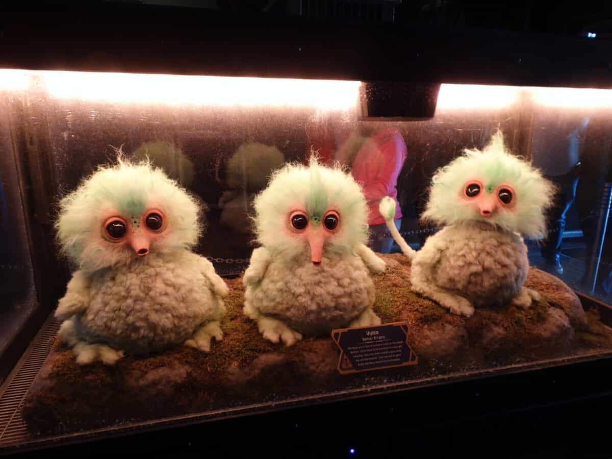 VIDEO: Adorable new Vyloo animatronic creatures arrive in Guardians of ...