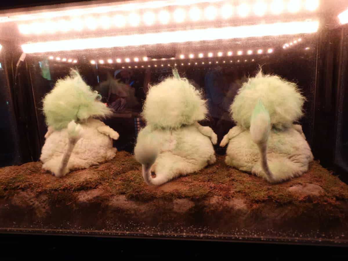 VIDEO: Adorable new Vyloo animatronic creatures arrive in Guardians of ...