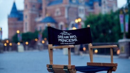 Disney's "Dream Big, Princess" campaign needs your help to raise money ...