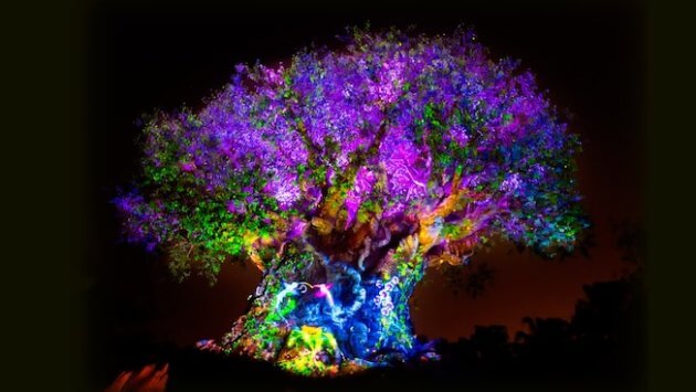 Tree of Life Gearing Up For Transformation Ahead of 50th Anniversary