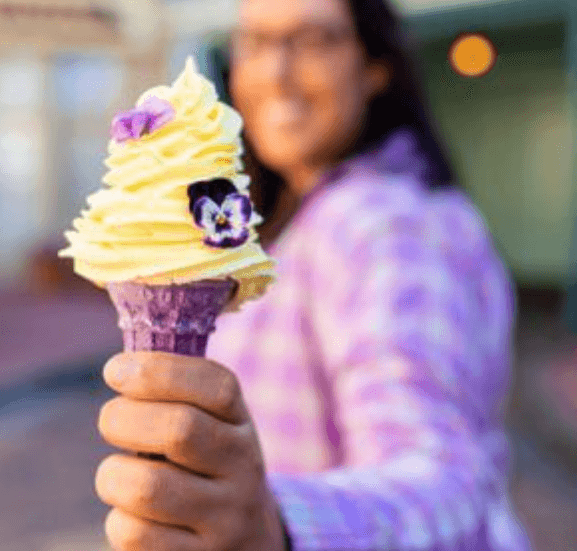 Your Guide to Disney Dole Whips - Inside the Magic