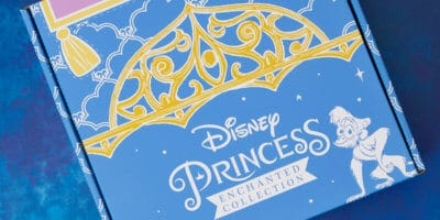 A Whole New World of Disney Princess Customizable Subscription Services