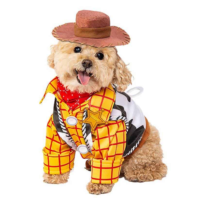 Delight your dogs this Halloween season with adorable Disney character ...