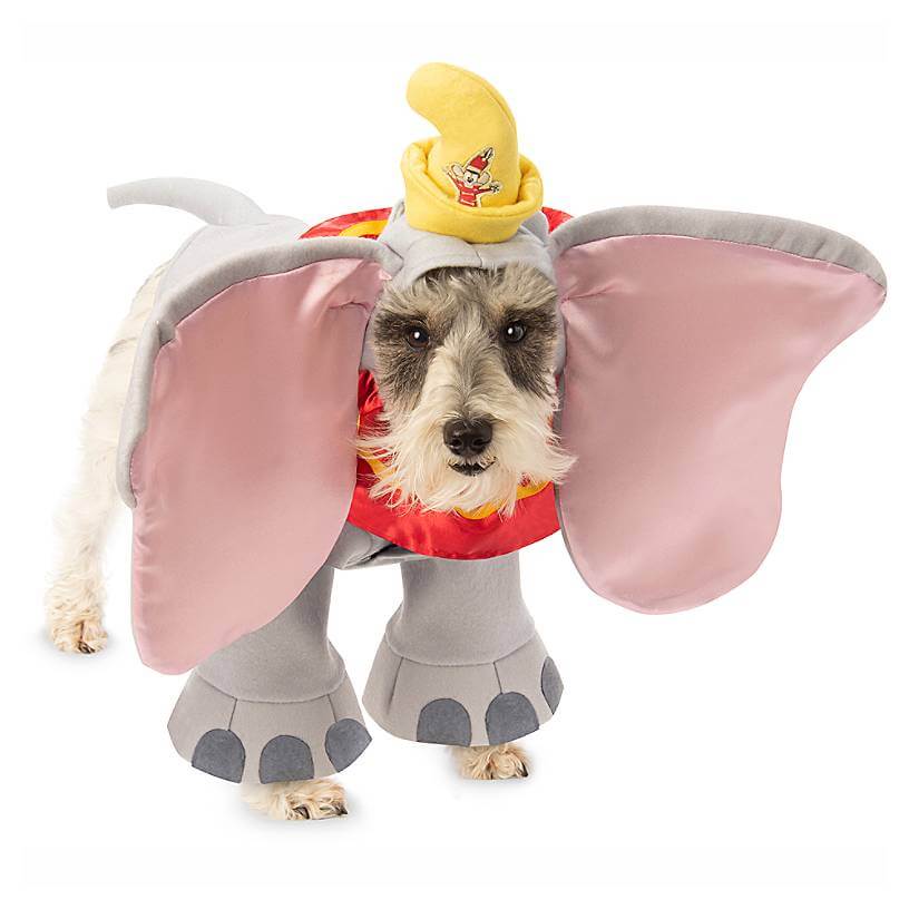 Delight your dogs this Halloween season with adorable Disney character ...