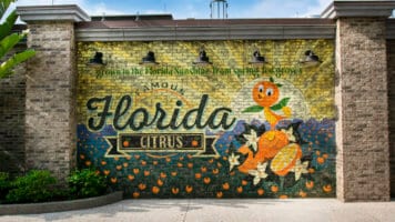 The Florida Orange Bird's Colorful History - Inside the Magic