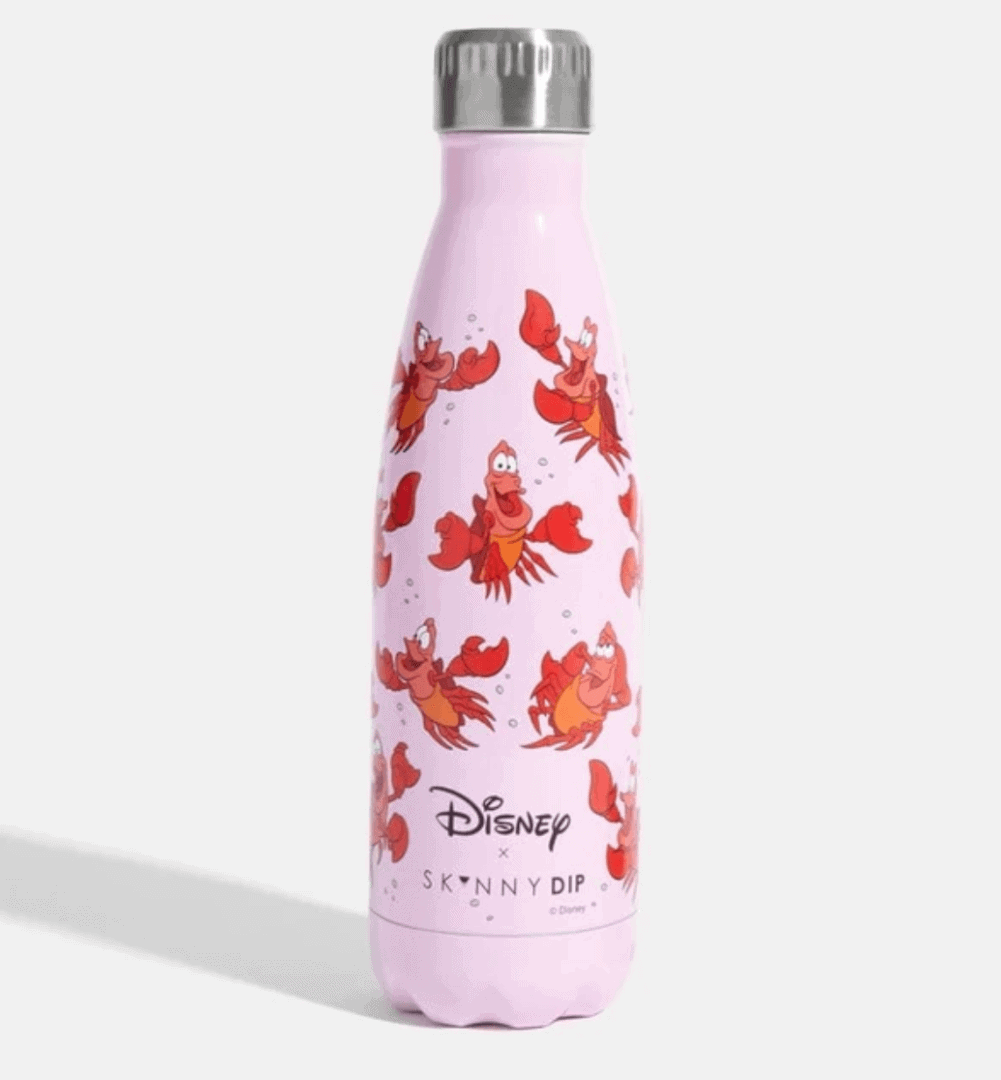 This Disney sidekick water bottle collection is everything we've been ...