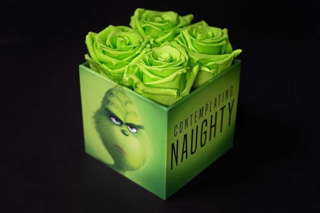 Give a gift that will make their heart grow a few sizes this holiday
