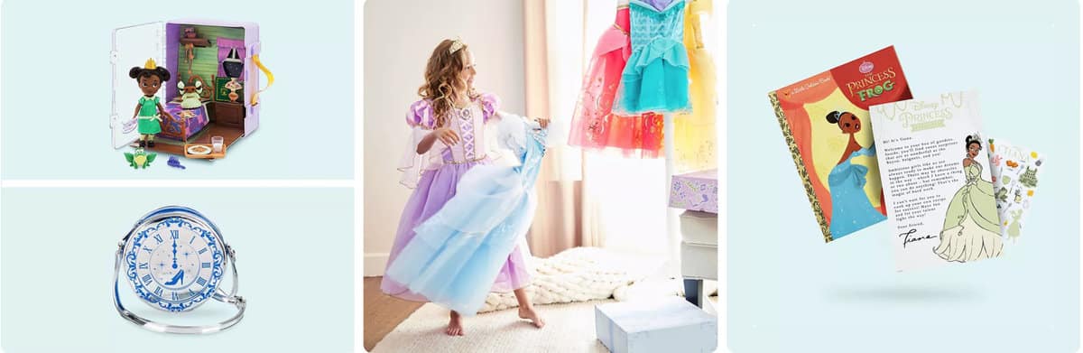 Choose-your-own-Princess Subscription Boxes now available from ...