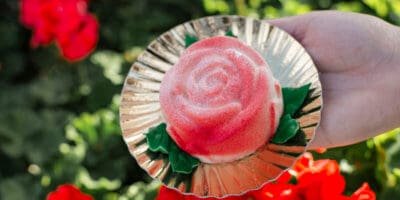 NEW "Alice in Wonderland" Inspired Cheesecake Coming Soon to Disney World