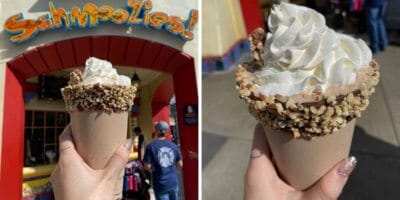 Check Out This MUST TRY Almond Mocha Disney Shake