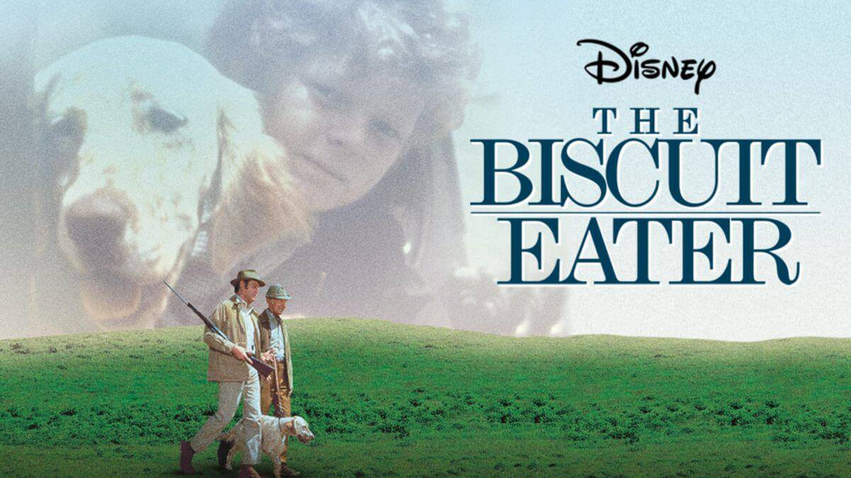 What To Watch On Disney+: The Ultimate 70s Movies Watchlist