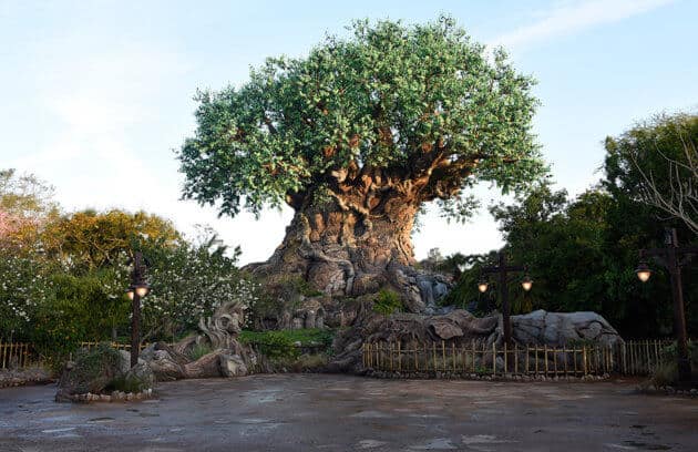 Disney Conservation Fund Celebrates 25 Years Of Impactful Service