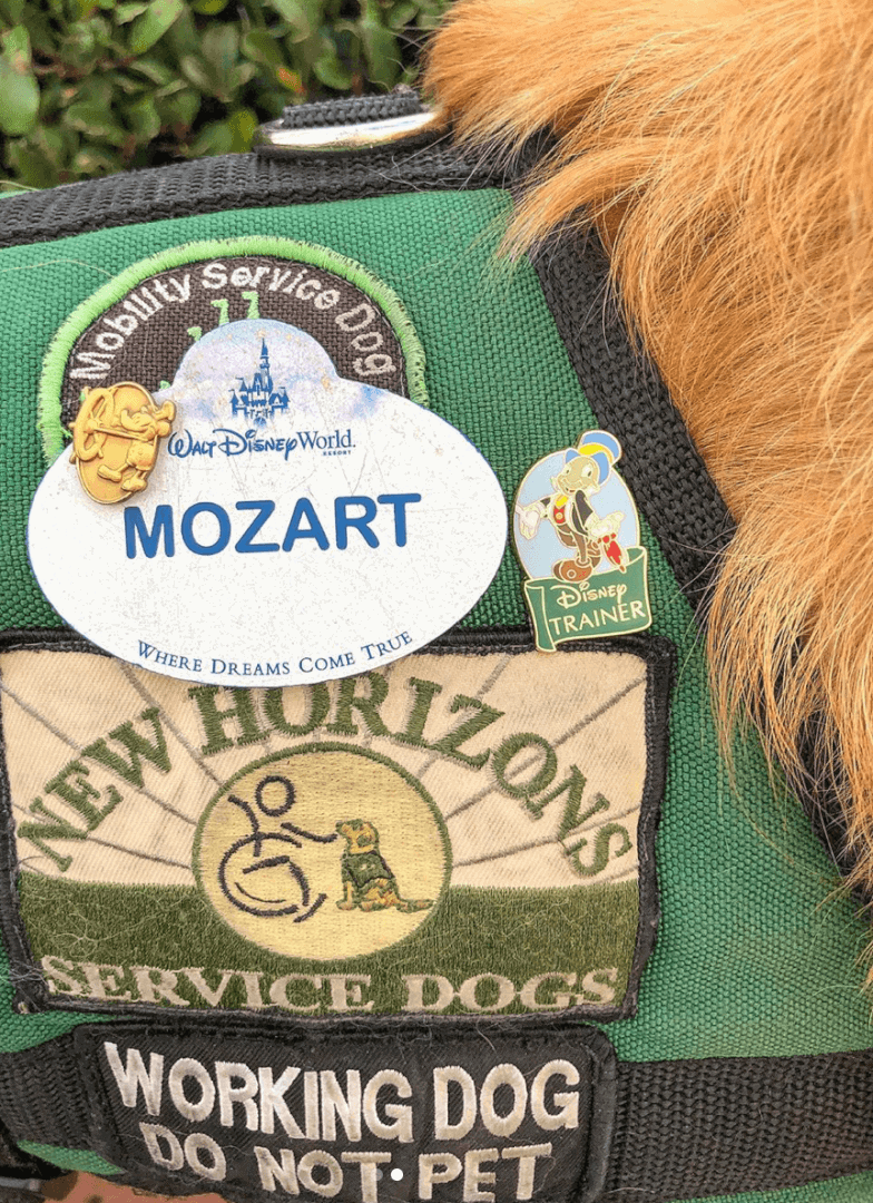 Did You Know Service Dogs Are Cast Members, Too? Meet This Magical Duo!