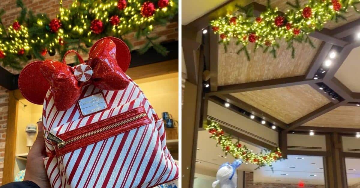 Disneyland Resort Begins Decorating for the Holidays