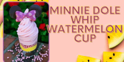 Minnie Dole Whip Watermelon Cup on Disney Springs Secret Menu!