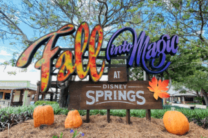 A First-Timer's Guide to Disney Springs