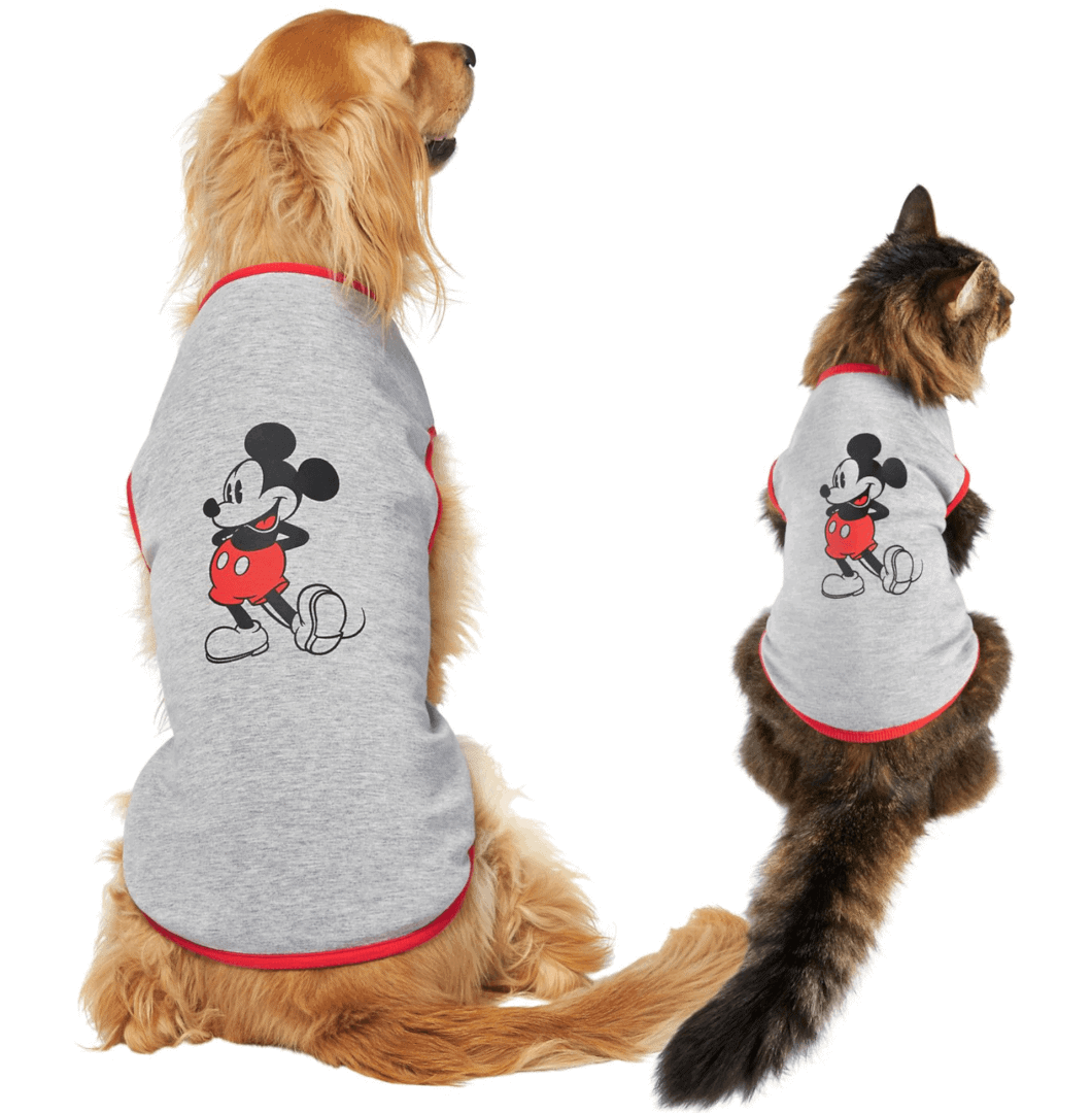 Chewy Launches Over 400 Disney Items For Your Pet!