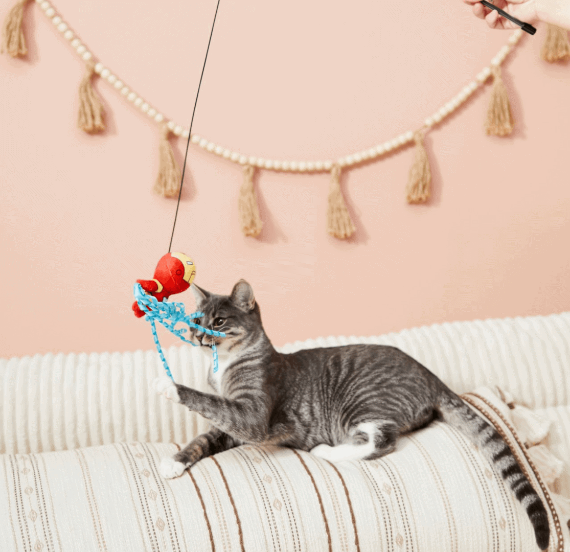 Chewy Launches Over 400 Disney Items For Your Pet!