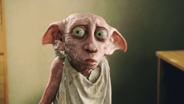 A Guide to the Magical Creatures in 'Harry Potter'