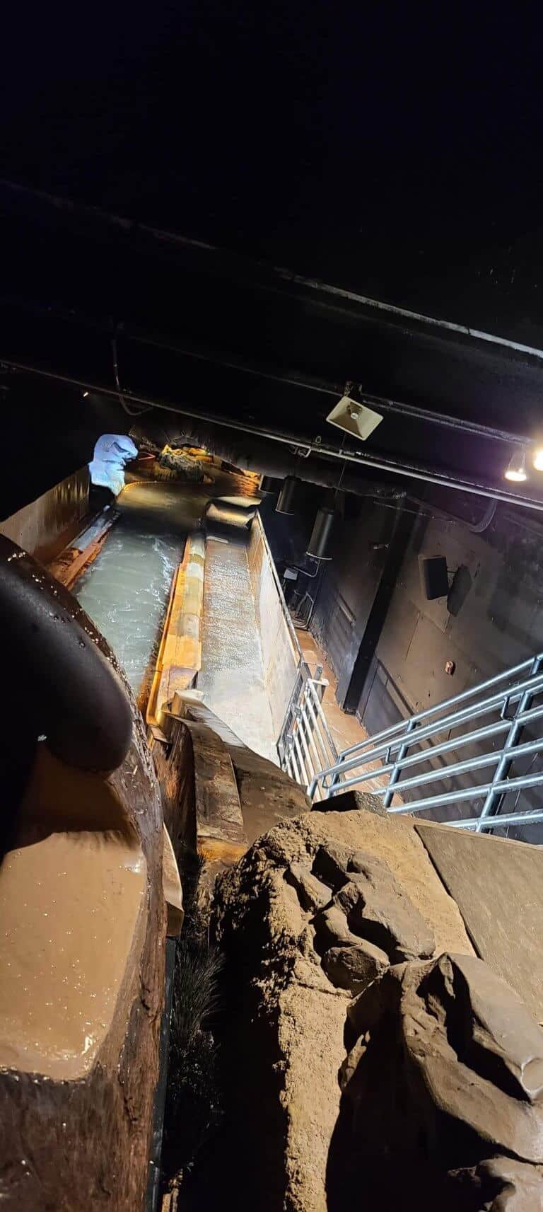 PHOTOS: Guests Stuck On Splash Mountain