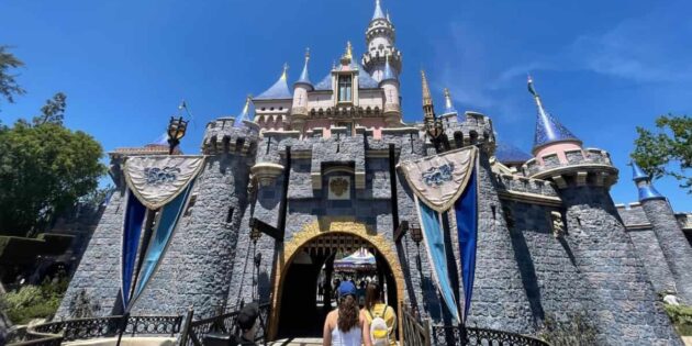Workers Protesting "Against Corporate Greed" on Disneyland's Birthday