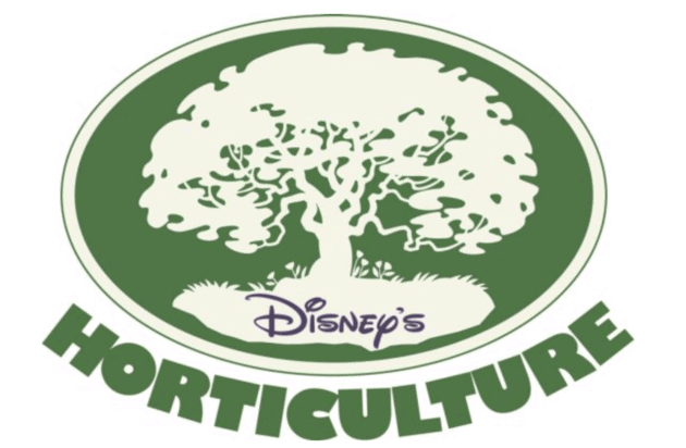 Moving Time? How The Liberty Square Tree Got to Magic Kingdom