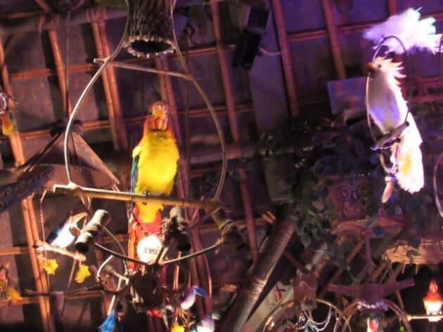 The History of Walt Disney's Enchanted Tiki Room