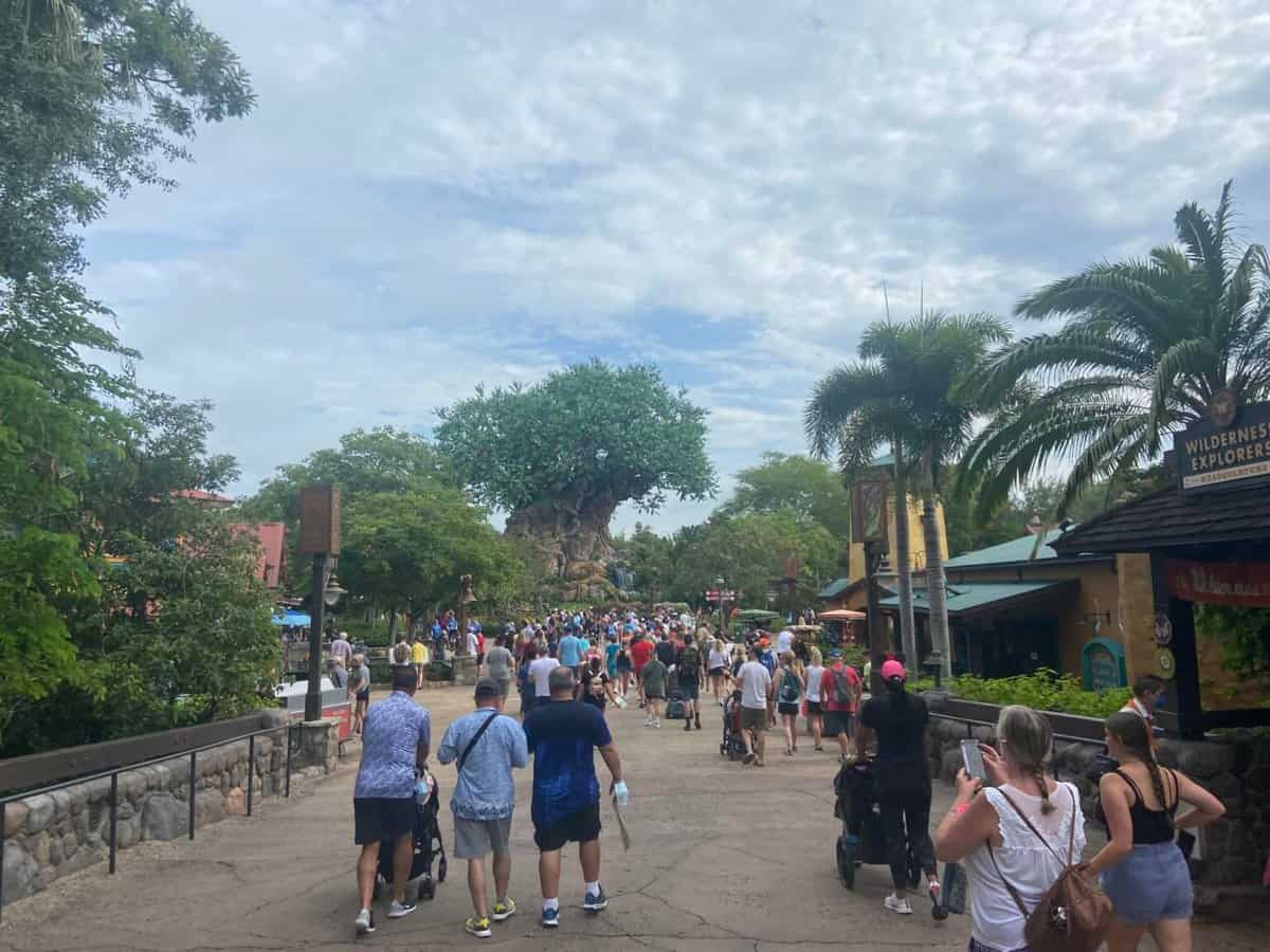PHOTOS: Summer Crowds Arrive at Disney World - Inside the Magic