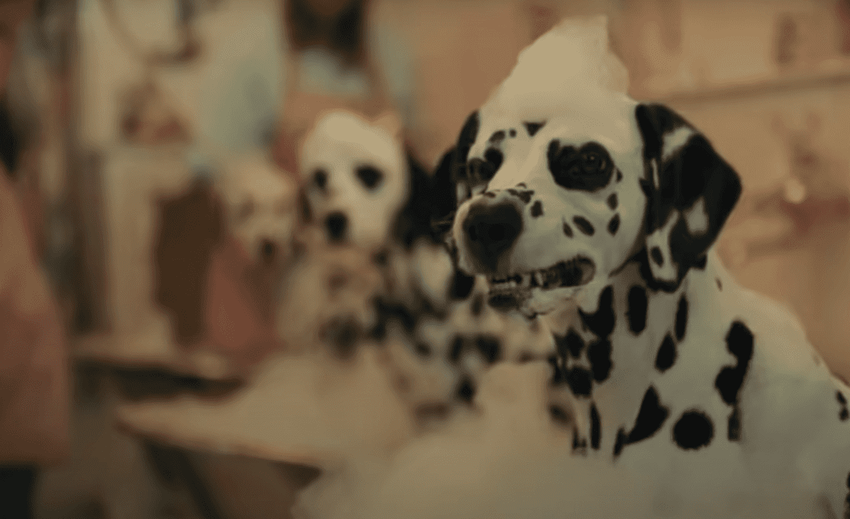 See One of the Dalmatians From 'Cruella' at Universal Orlando