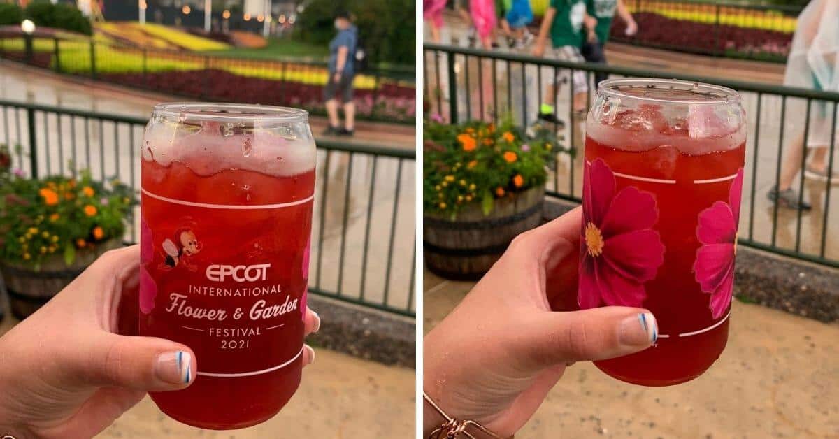 Grab This Souvenir Flower and Garden Cup For Under $5!