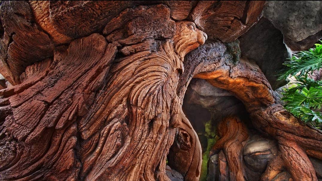 Guide to Disney's Animal Kingdom Tree of Life