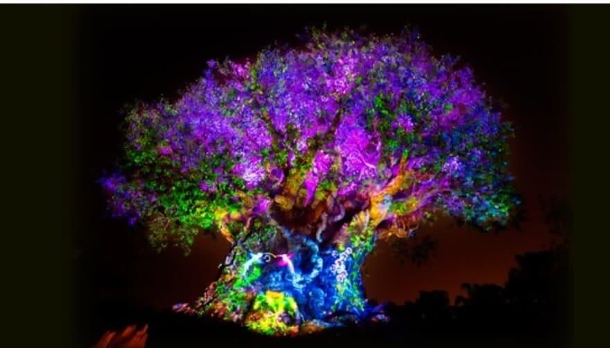 Guide to Disney's Animal Kingdom Tree of Life
