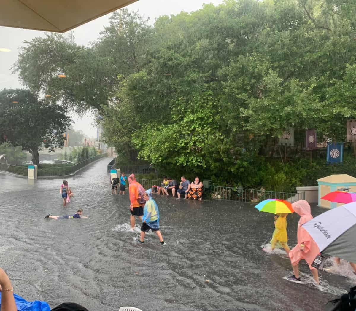 Guests Seen Swimming in Flooded Magic Kingdom Walkway