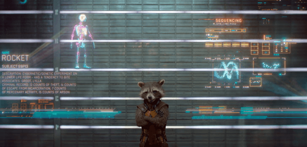 Who Is Rocket Raccoon in the Marvel Cinematic Universe?