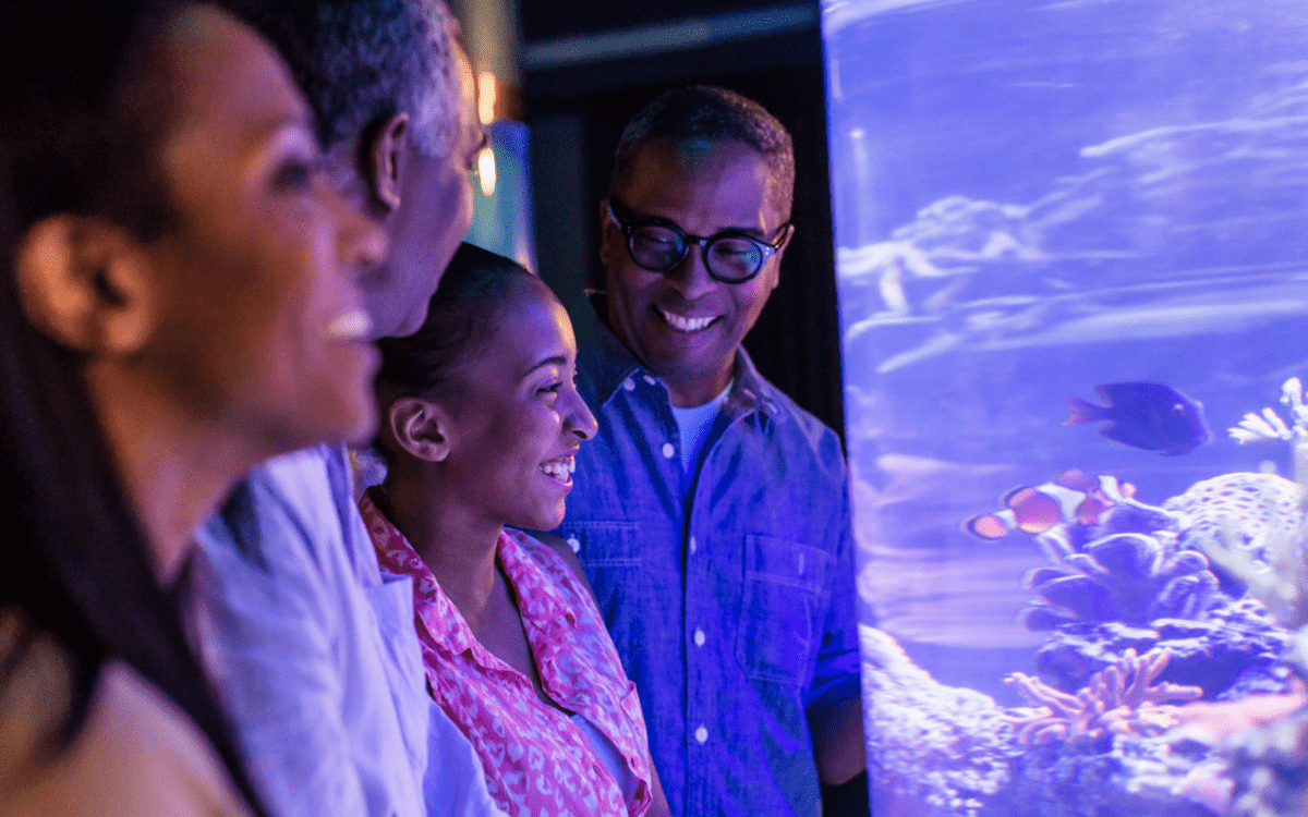 EPCOT Has a Hidden (and Free) 'Finding Nemo'-Themed Experience