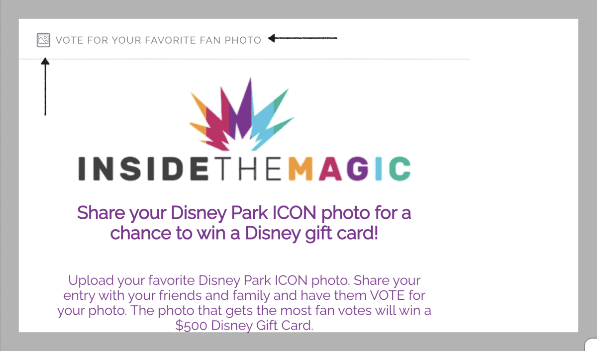 Capture the Magic Photo Contest: $2,000 in Prizes!!!