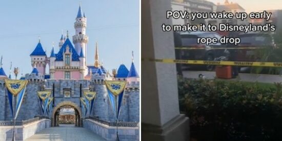 Disney Guests Wake Up To Intense Crime Scene After Guest Falls Off ...