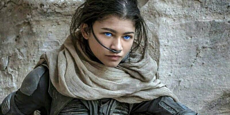Zendaya Suffers Kitchen Injury, Shares Update From Hospital - Inside ...