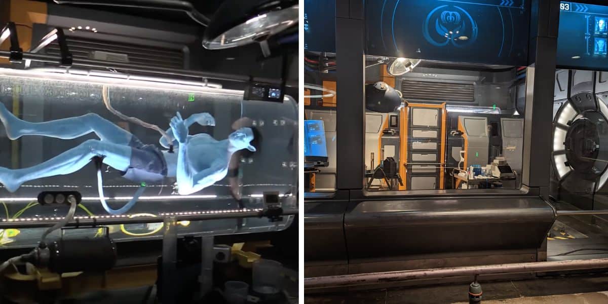 Disney's Impressive 'Avatar' Animatronic Missing, Removed From Ride