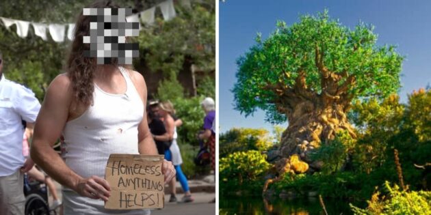 "Homeless Man" Begs for Money at Walt Disney World